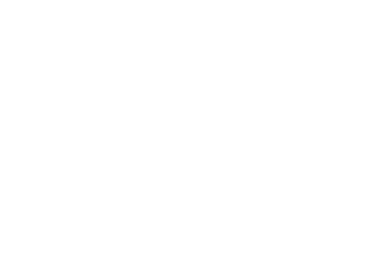 Vezir