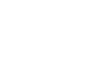 Vezir